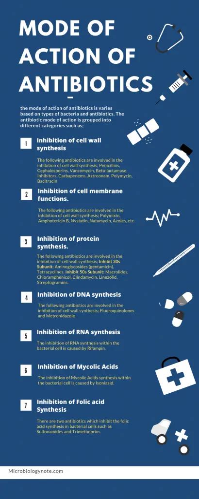 Mode Of Action Of Antibiotics And Classification Biology Notes Online