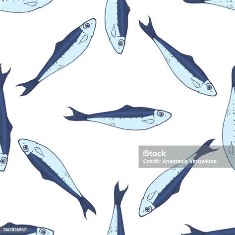 청색 정어리의 패턴 작은 정어리 물고기의 손으로 그린 스케치의 원활한 그리기 파란색 윤곽선과 파란색 회색 측면 보기 디자인 템플릿을 위해 흰색에 무작위로 배열 된 해산물 0