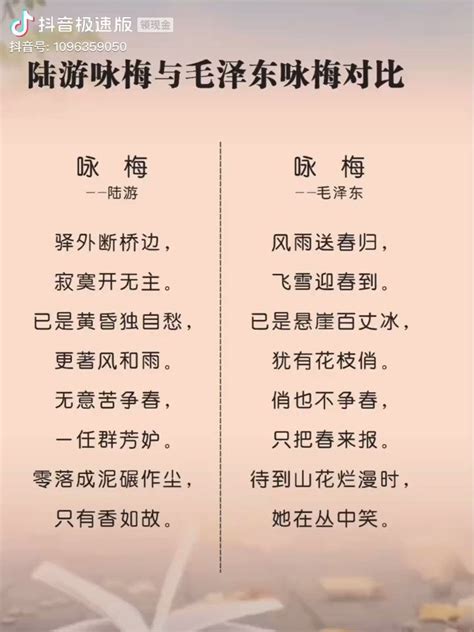 Which one do you like better 你更喜欢哪一首 偷得富盛半日闲 junyin2001