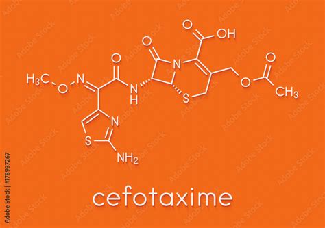 Cefotaxime Antibiotic Drug Molecule Cephalosporin Third Generation