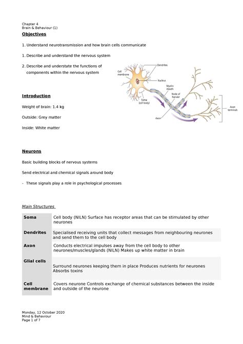 Brain Behaviour 1 Brain Behaviour 1 Objectives 1 Understand Neurotransmission And How