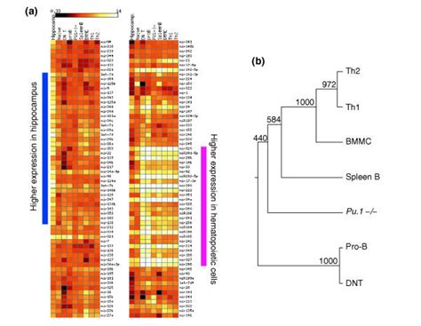 analysis of microarray data a heat map of mirnas expressed at least