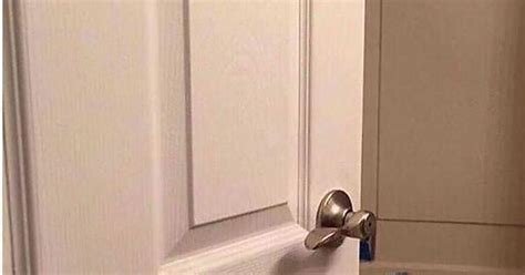 The Audacity Album On Imgur