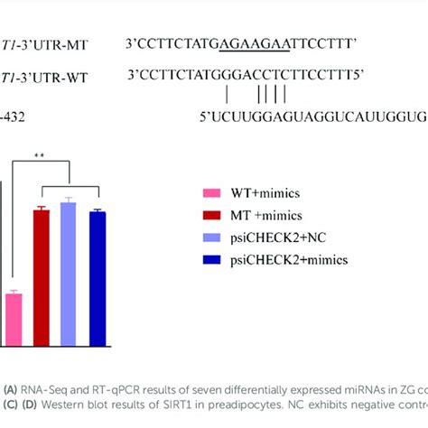 Summary Of Sequencing Data For Each Library Download Scientific Diagram