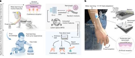 A Substrate Less Nanomesh Receptor With Meta Learning For Rapid Hand Task Recognition R