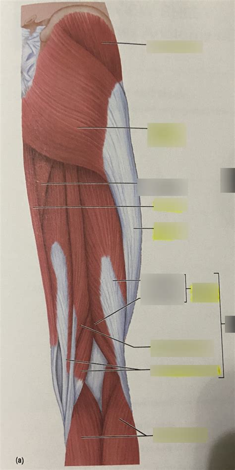 Quiz 1 Part 4 Diagram Quizlet