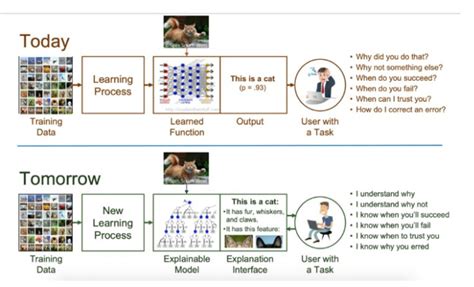 Explaining The Explainable AI Part1 Predactica