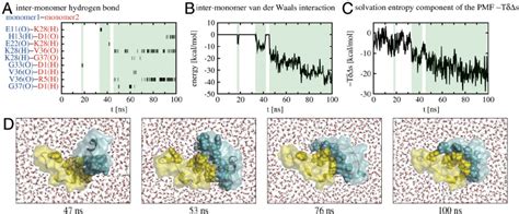 Direct Protein Protein Interactions And The Water Mediated Attraction Download Scientific