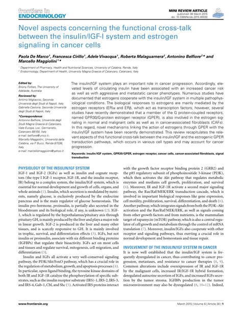 Pdf Novel Aspects Concerning The Functional Cross Talk Between The Insulin Igf I System And