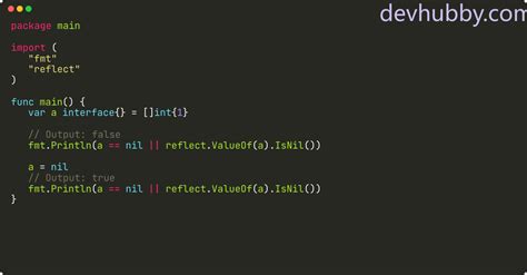 How To Check If Interface Is Nil Golang