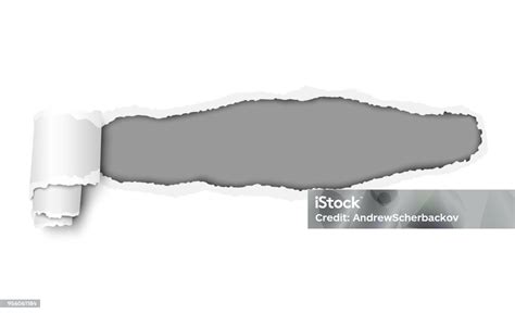 찢어진된 가장자리와 종이 컬 흰 종이의 조각에 납치 벡터 구멍 결과 창 어두운 회색 이며 텍스트 복사 또는 광고에 대 한 공간을