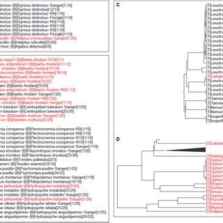 Selected Clades From The UPGMA Phylogeny Of Exact Sequence Variants Download Scientific Diagram