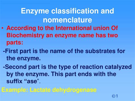 Ppt Enzymes Powerpoint Presentation Free Download Id6323053