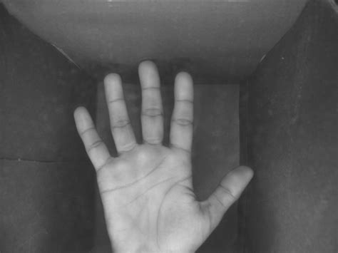 Iit Delhi Touchless Palmprint Database