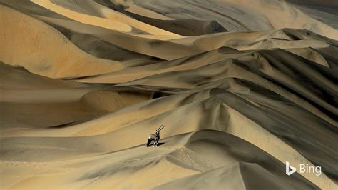 Add Pin Button To Title Bar Next To Close And Minimize Buttons To Keep An App Always On Top