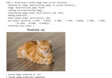 Custom Deep Learning Model With A Resnet18 Backbone For Cifar 10 Image