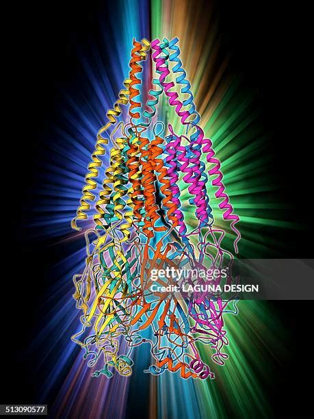 Acetylcholine Structure Photos And Premium High Res Pictures Getty Images