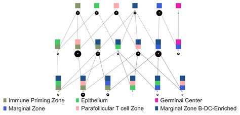 Spacec Cellular Neighborhood Analysis — Spacec 00post1dev221