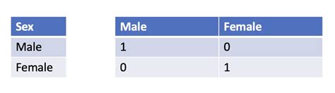 Building A Neural Network With Training Pipeline In Tensorflow And