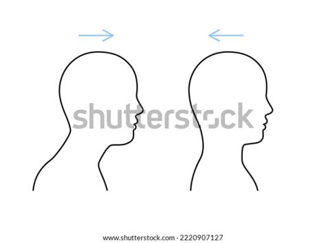Exercise On Stretch Muscles Back Forth Stock Vector Royalty Free 2220907127 Shutterstock