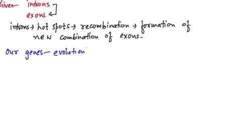 Solved From 5 To 3 What Are The Components Of The Operon And What Are Their Roles