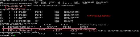 Kubernetes Hostport 使用 人艰不拆 Zmc 博客园