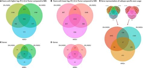 Alternative Exon Usage In Tumor Subtypes Compared To Nbs The Number Of Download Scientific