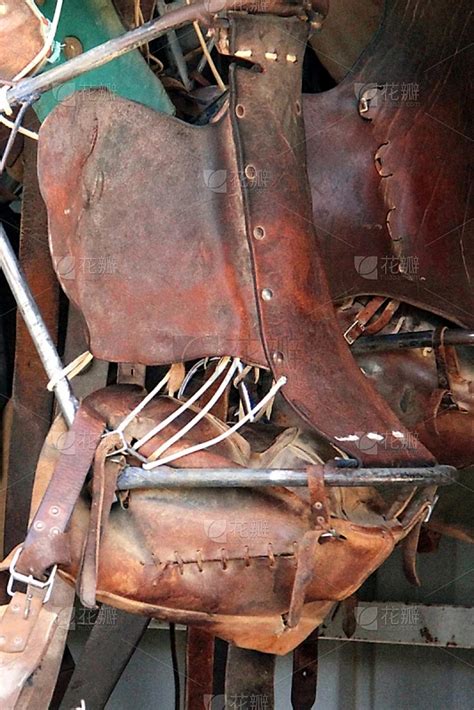 马 马具 内盖夫 垂直画幅 红色 家畜 旅行者 组物体 沙漠 图像素材 花瓣网