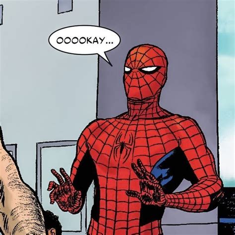 Pin By Matt Lvs Yachi On Memes ♡ Spiderman Funny Spiderman