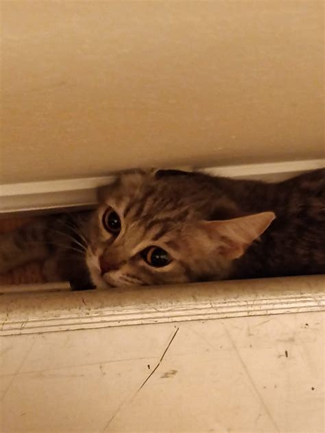 Peekaboo Pussy R Tightpussy