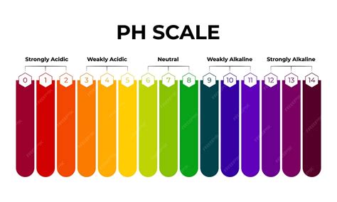 Premium Vector Ph Scale Strongly Acidic Weakly Acidic Neutral Weakly Alkaline Strongly