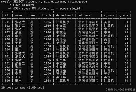 第四天作业 Csdn博客