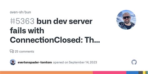 Bun Dev Server Fails With Connectionclosed The Socket Connection Was Closed Unexpectedly