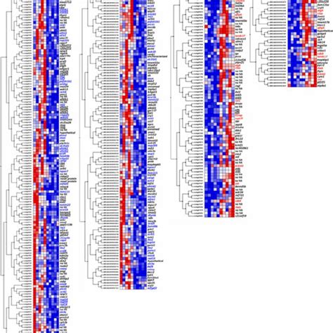 Hierarchical Clustering Analysis Of Transcripts Differentially Download Scientific Diagram