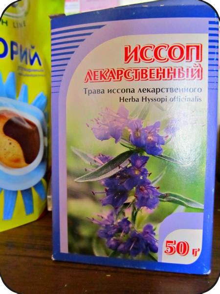 Лекарственные травы ХОРСТ иссоп лекарственный - «Для печени, желчного ...