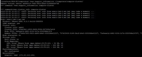 How To Manage And Troubleshoot Vsan Cluster Using Rvc Commands