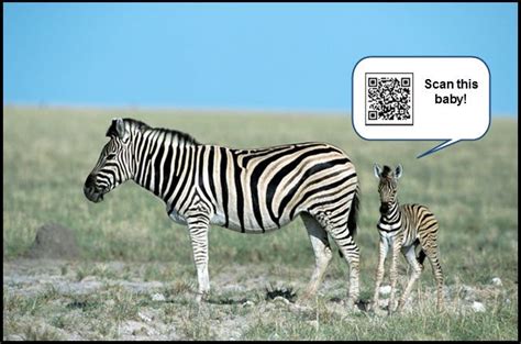Lions Tigers And Qr Codes Qr Code Press Coding Qr Code Lions