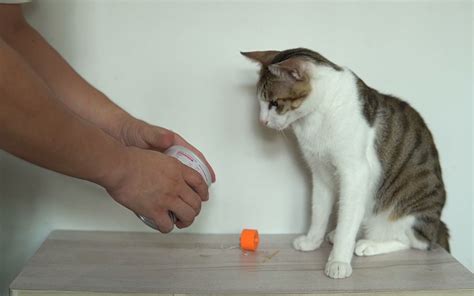 弹性势能与动能转化小实验 哔哩哔哩 Bilibili