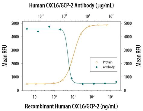 Human Cxcl6 Gcp 2 Antibody Af333 Randd Systems