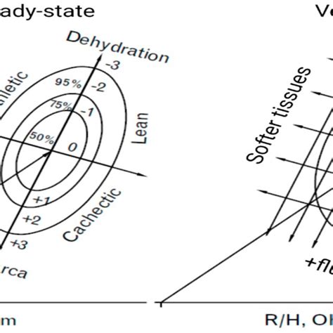 Bioelectrical Impedance Vector Analysis And Rxc Plot Top Left Are