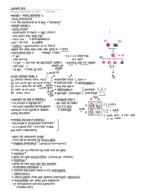 Lecture 5 Notes BIO 200LLB Studocu