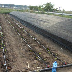 Shading System In Open Field Download Scientific Diagram