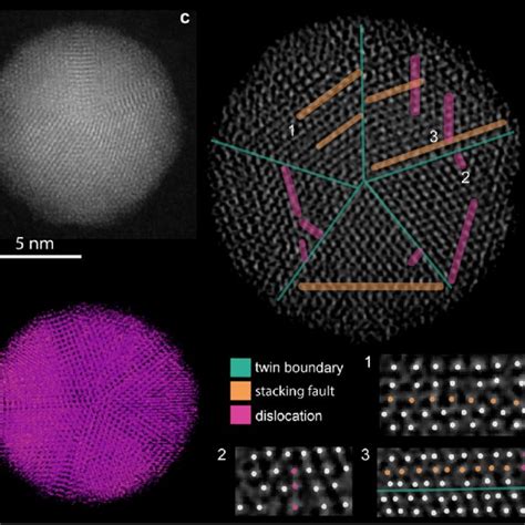 A Sample Stem Micrograph From The Tilt Series B Volumetric