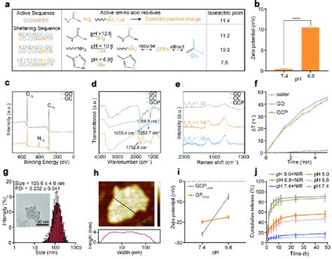 The Fabrication And Characterization Of Gcp And Gcp Dox Nanoparticles