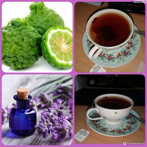 Чай AHMAD Fleur Lavender & Bergamot (лаванда & бергамот) - «Фиолетовая ...