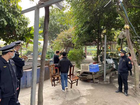 落实“还岸于民”，顺德大良五沙“清岸”拆除违建超三千平方米！整治大良街道行动