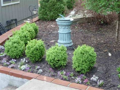 Small Dwarf Trees For Landscaping — Randolph Indoor And Outdoor Design