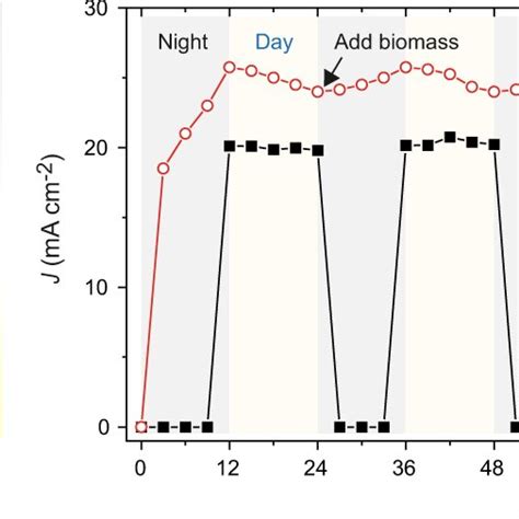 Continuous And Repeated Operation Of Biomass Pec Systems Pma Was