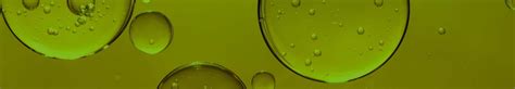 Fatty acids - Chempri