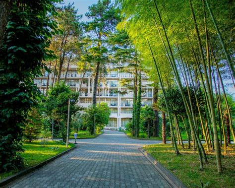 ისტორია